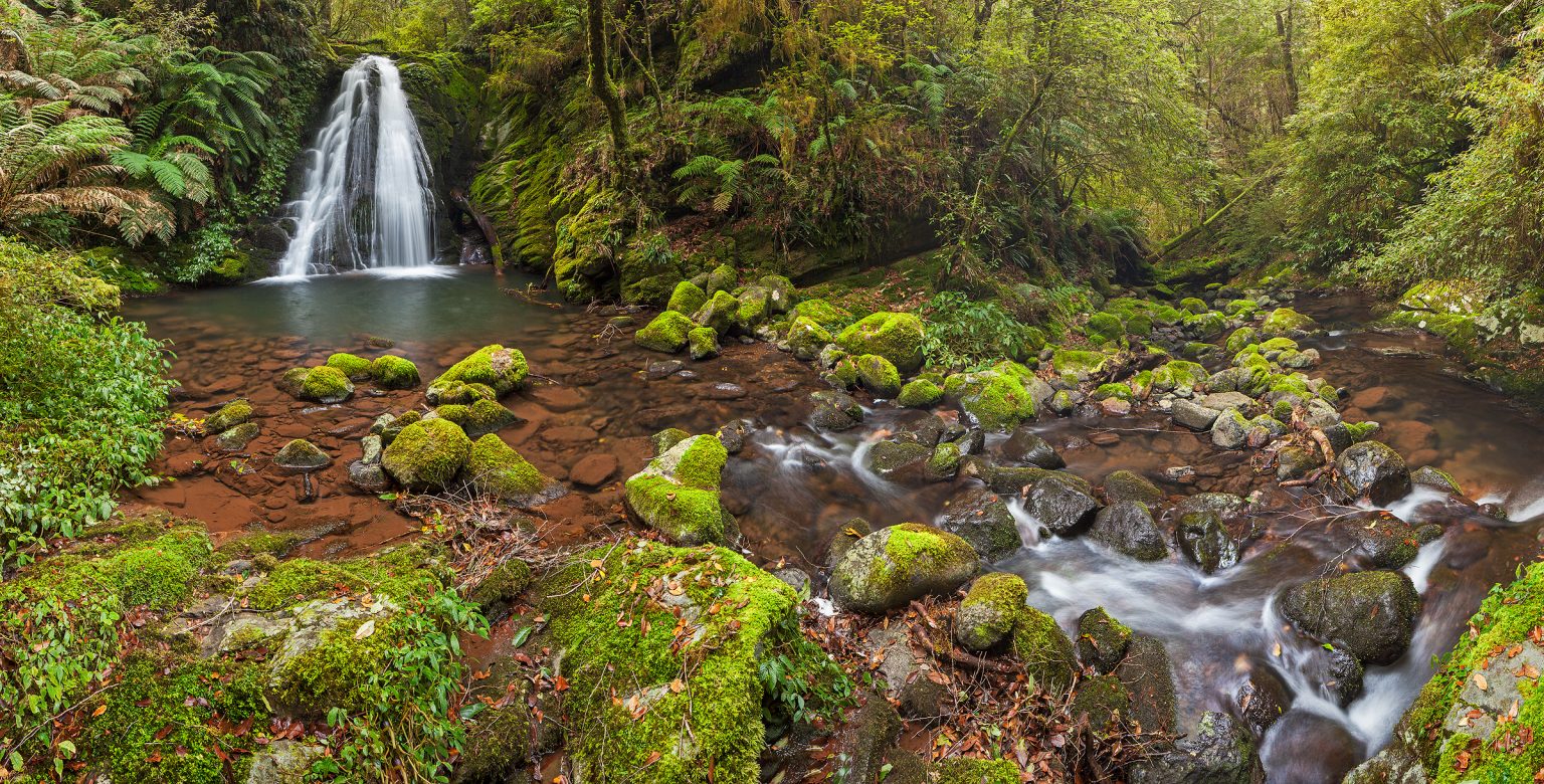 10 Things To Do In Bellingen - Waterfall Way