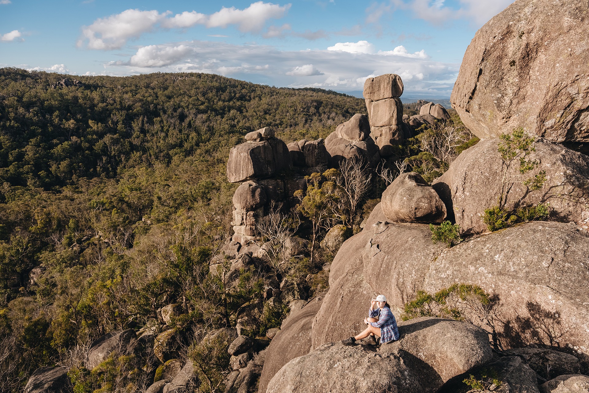 Ebor - Waterfall Way