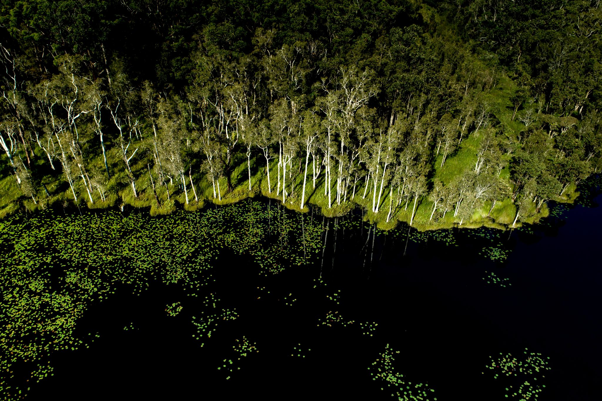 Urunga Wetlands - Waterfall Way